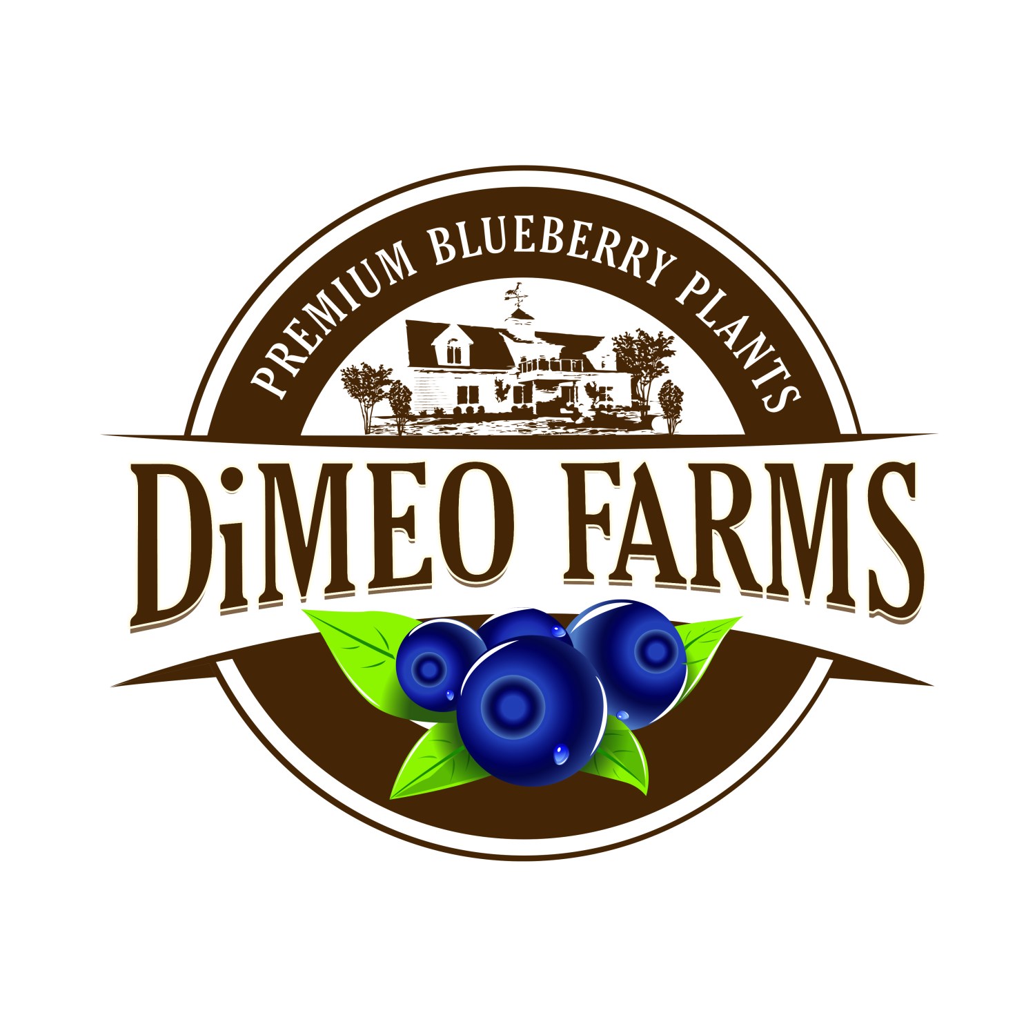 DiMeo Farms Logo – DiMeo Farms Blueberry Blog